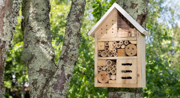 Why Every Garden Needs a Bug Hotel - Thames Valley Landscapes